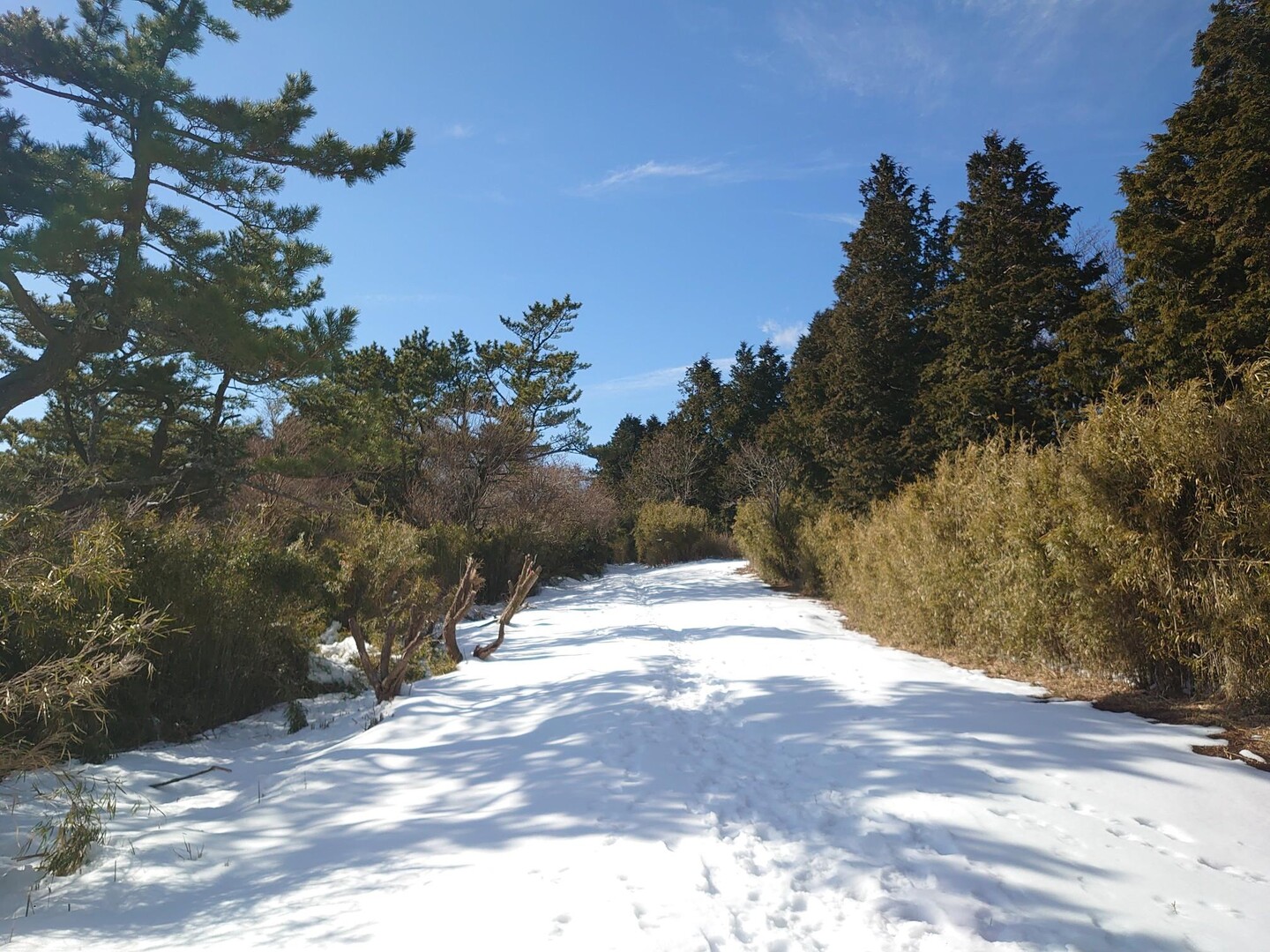 塔ノ峰・明星ヶ岳 終わり良ければ全て良し / mieeさんの金時山・明神ヶ岳の活動データ | YAMAP / ヤマップ