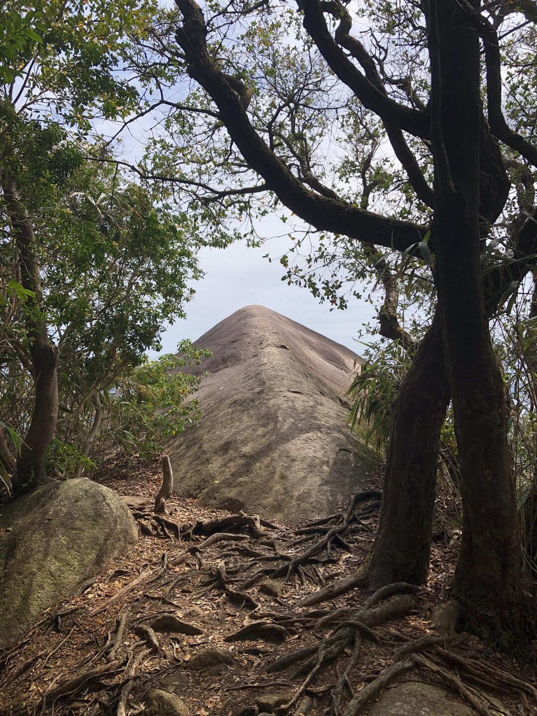 熊野古道 馬越峠 便石山(象の背) / kinchanさんのおわしアルプス・海路山の活動データ | YAMAP / ヤマップ
