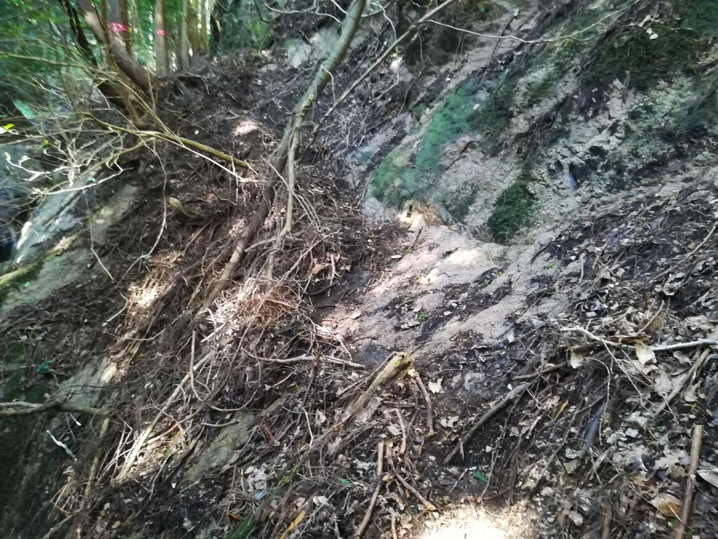 takaさんの投稿したフィールドメモ | YAMAP / ヤマップ