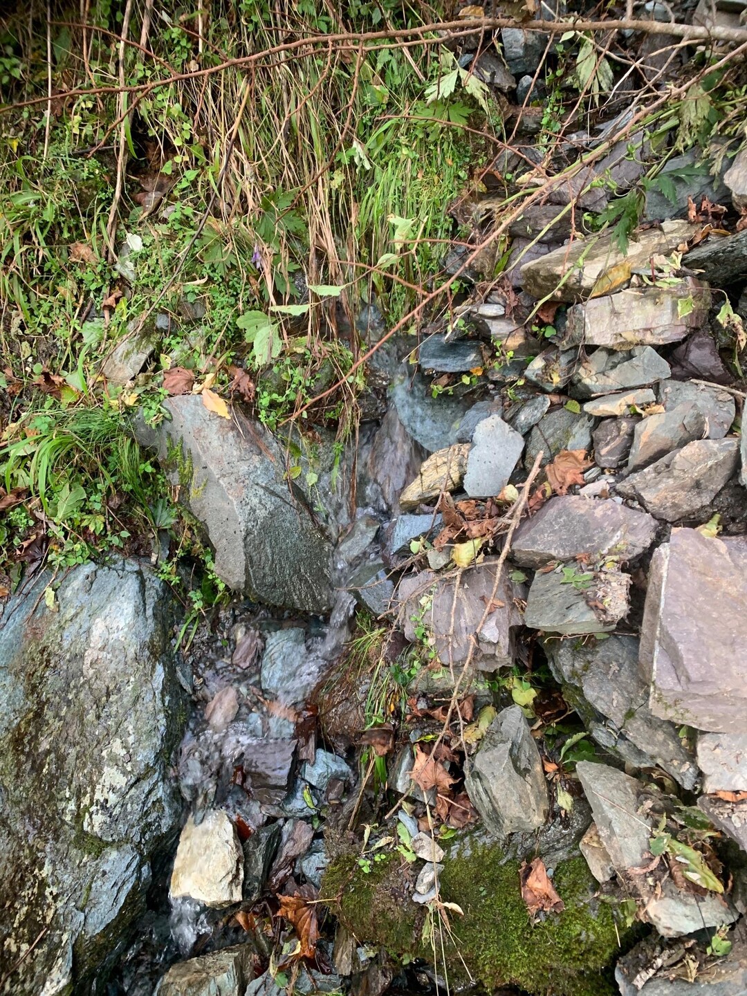 Kazumaさんの投稿したフィールドメモ | YAMAP / ヤマップ