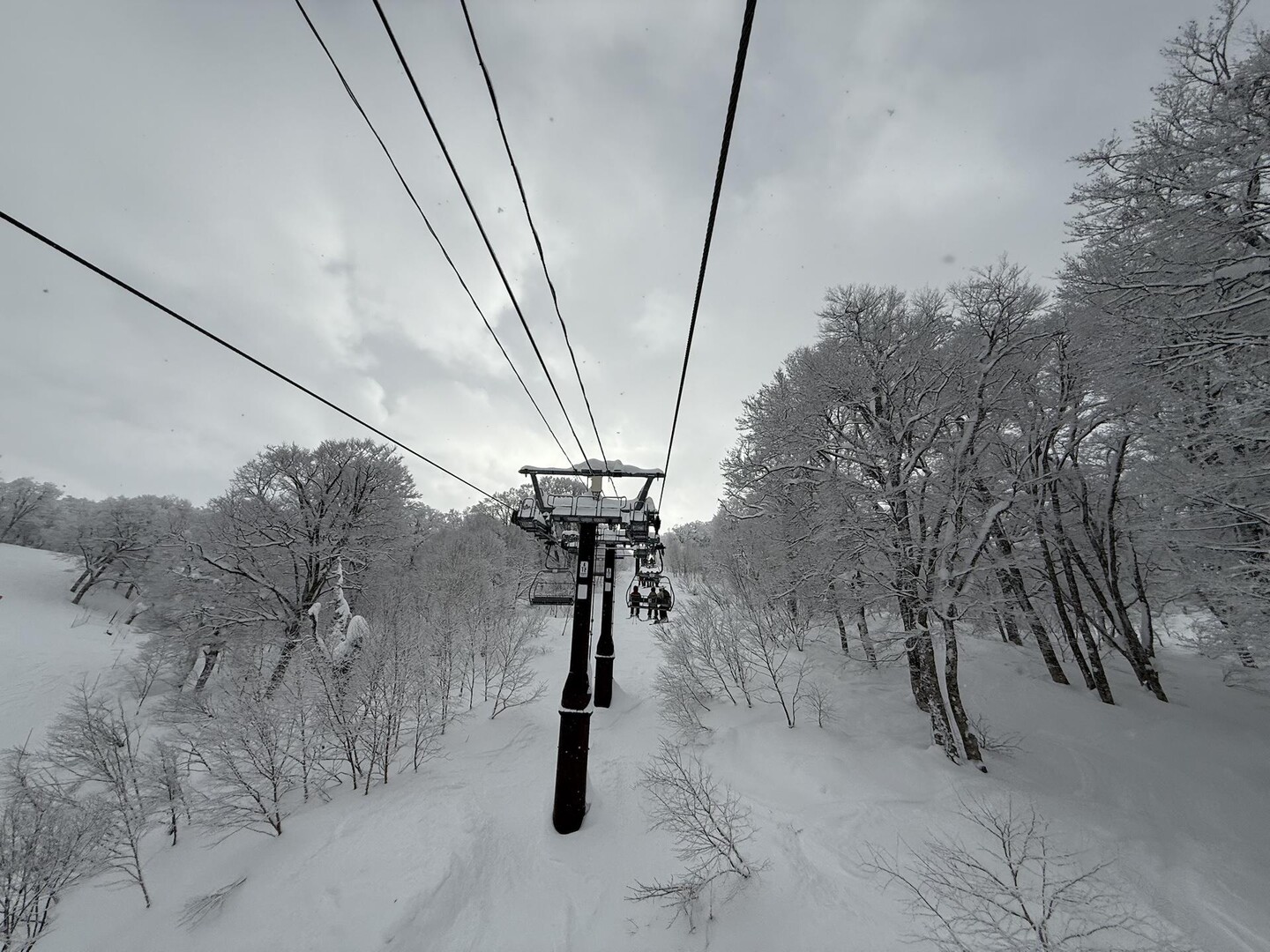 2025/1/4 Day4 in野沢温泉... / なつみ723さんのモーメント | YAMAP / ヤマップ