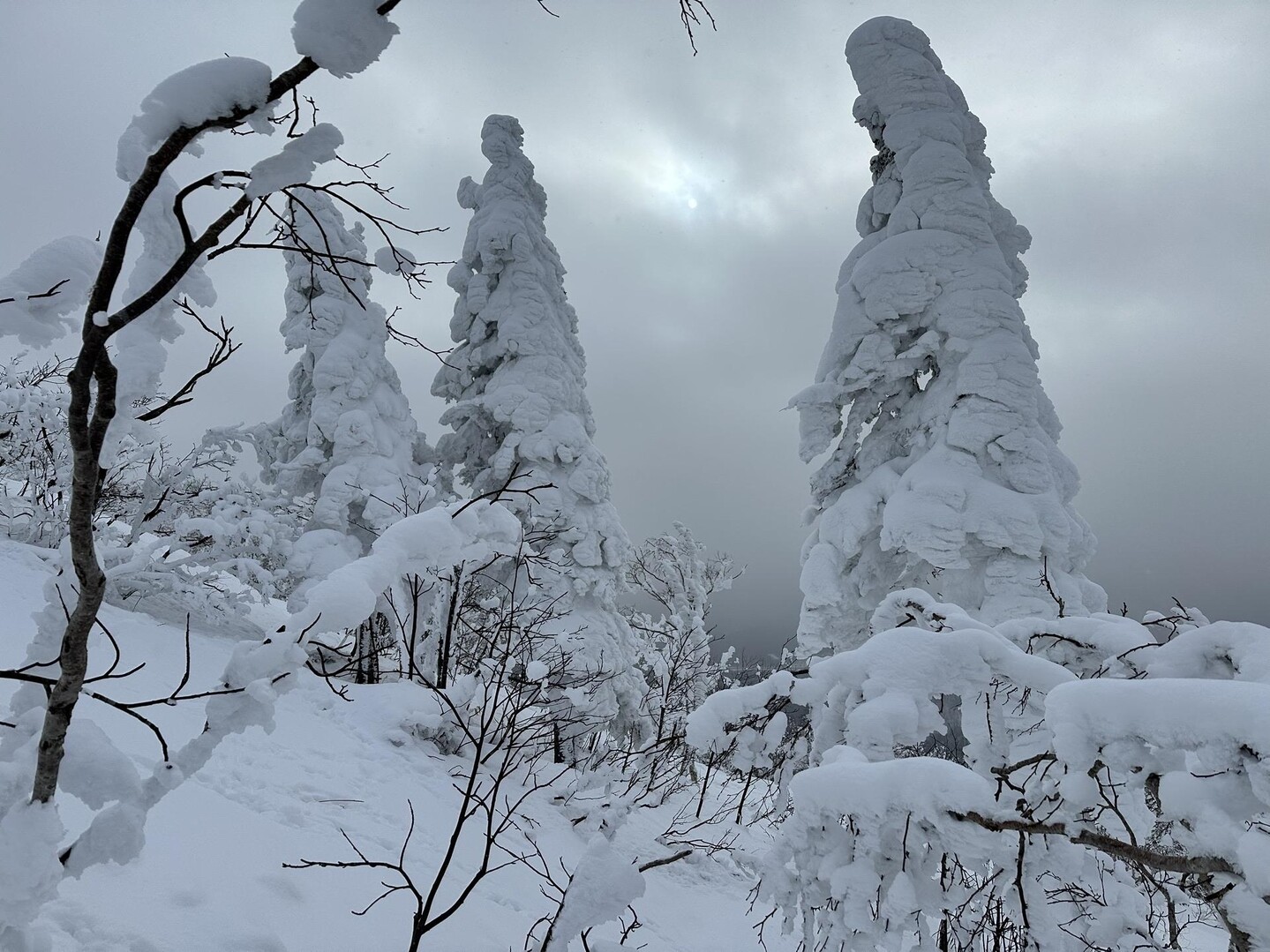 気になっていた チトカニウシ山 / masamituさんのチトカニウシ山の活動データ | YAMAP / ヤマップ
