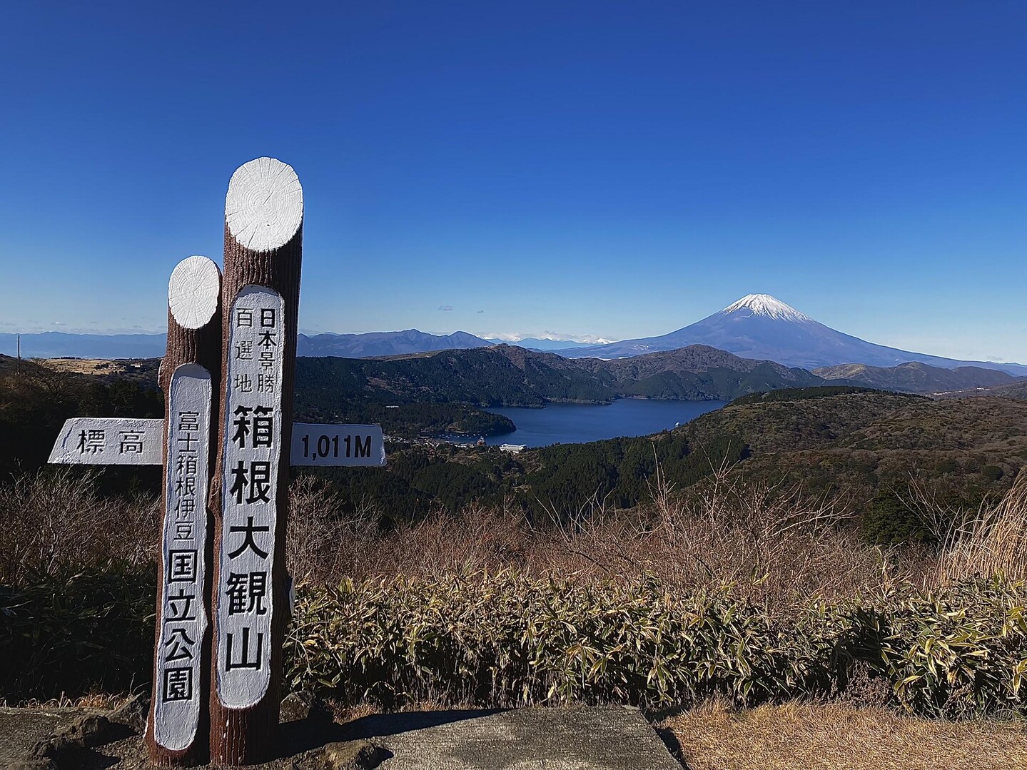「椿ライン」 かながわの景勝50選に選ば... / Kᙆ...ʏᴍさんのモーメント | YAMAP / ヤマップ