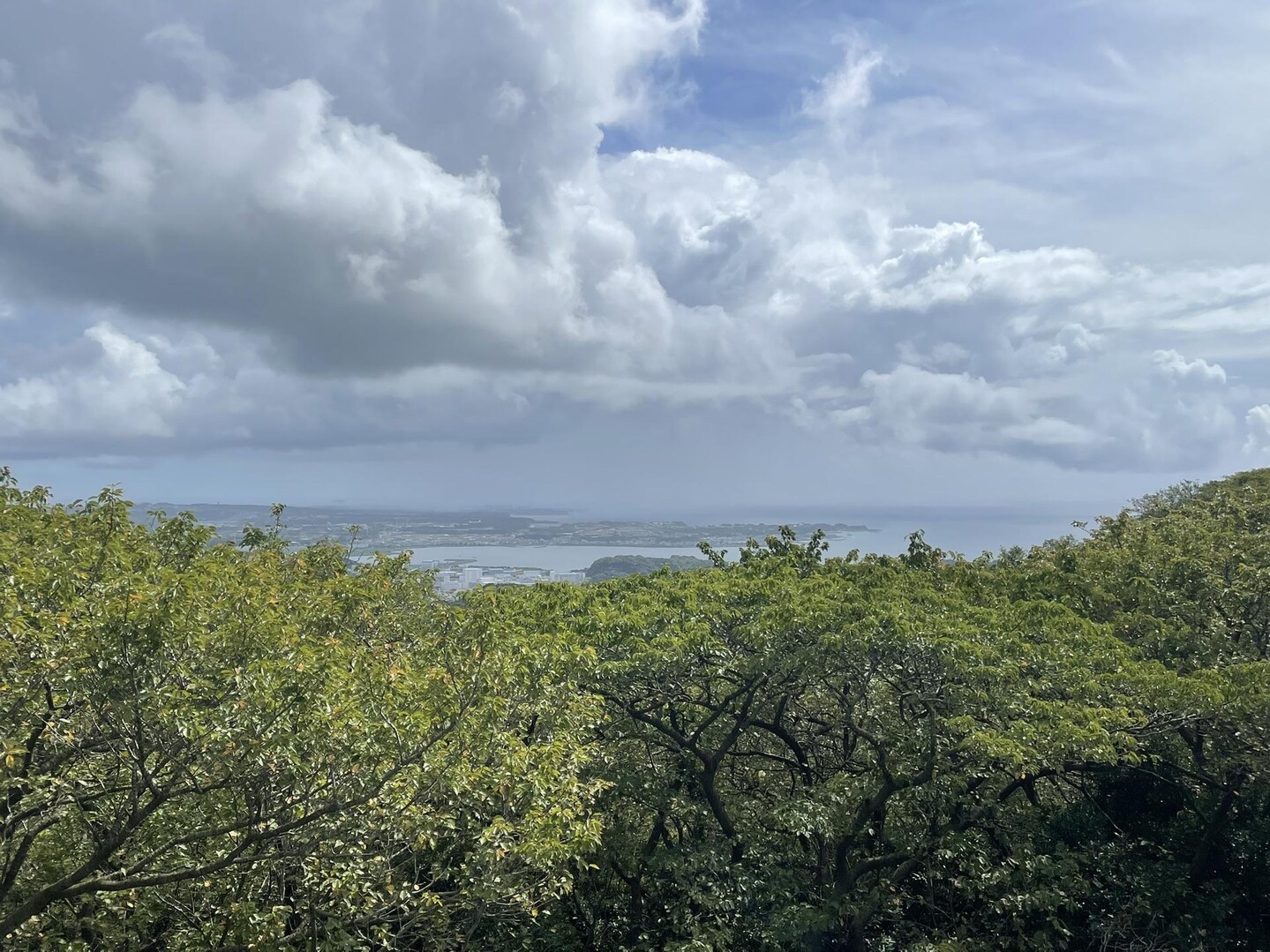 前田橋から前田川遊歩道・大楠山を経て大楠芦名口 / s06007さんの大楠山・武山・三浦富士の活動データ | YAMAP / ヤマップ