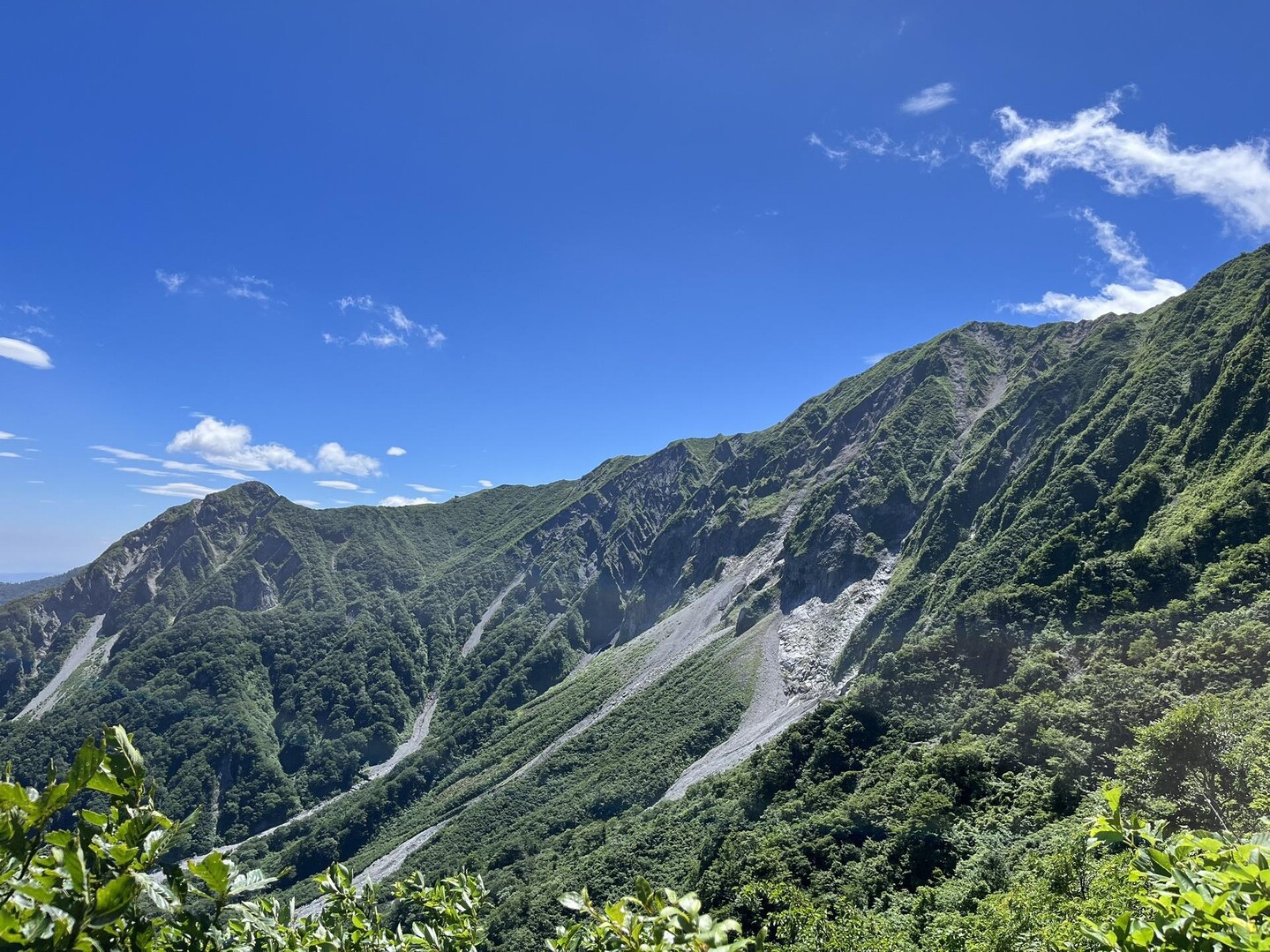 大山（弥山） / mamiさんの大山・甲ヶ山・野田ヶ山の活動データ | YAMAP / ヤマップ