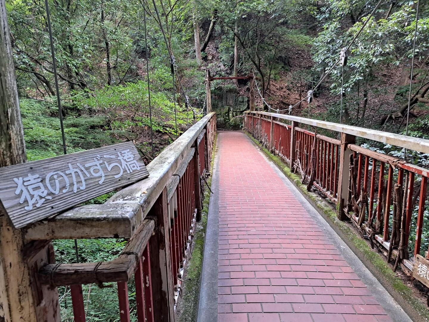 【危険】 8/24 9:30頃 蜂に襲... / YAMA-Gさんのモーメント | YAMAP / ヤマップ