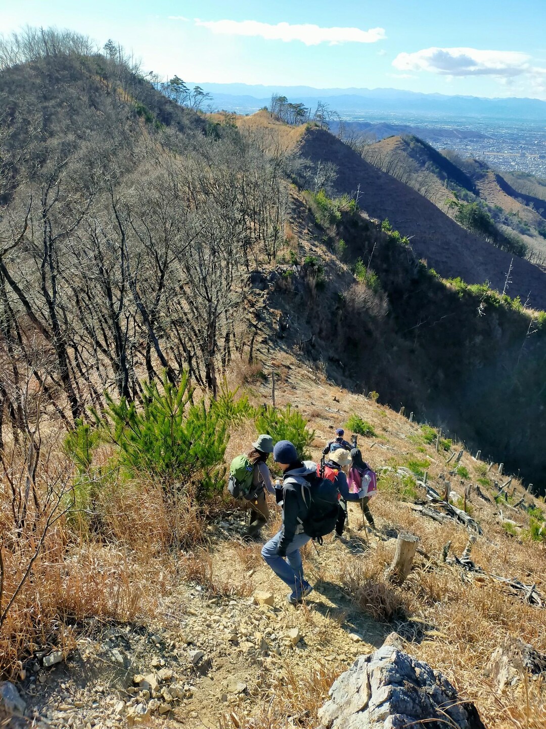 仙人ヶ岳・女仙人ヶ岳・荒倉山 / Berryさんの両崖山・仙人ヶ岳・石尊山の活動データ | YAMAP / ヤマップ