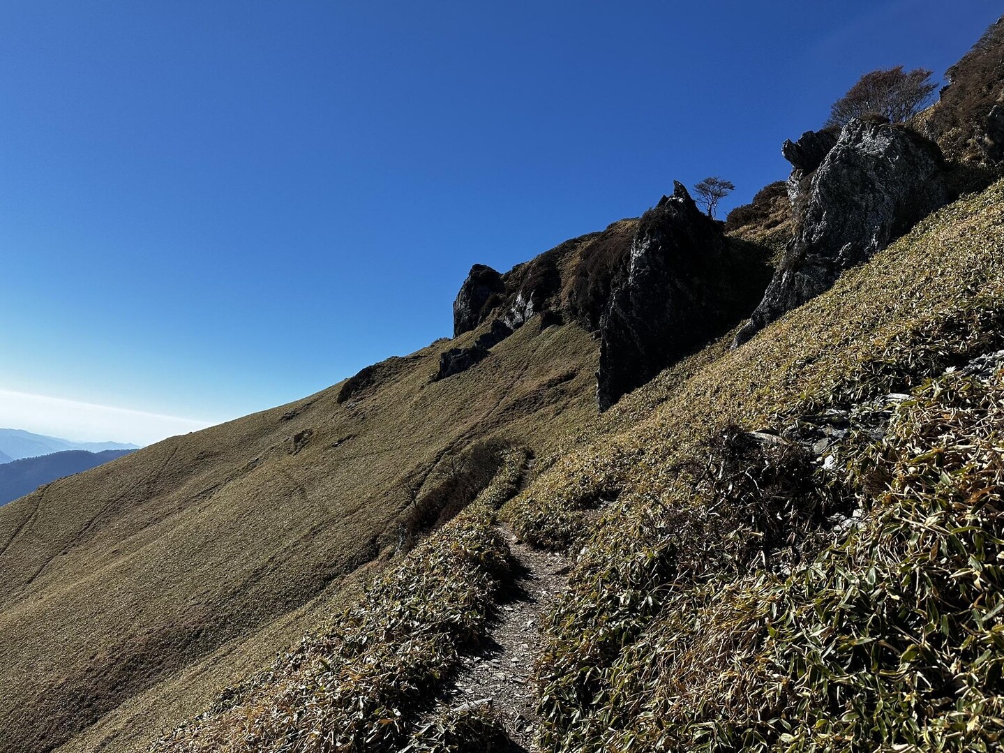 YAMAP / ヤマップ | 登山をもっと楽しく、登山情報プラットフォーム