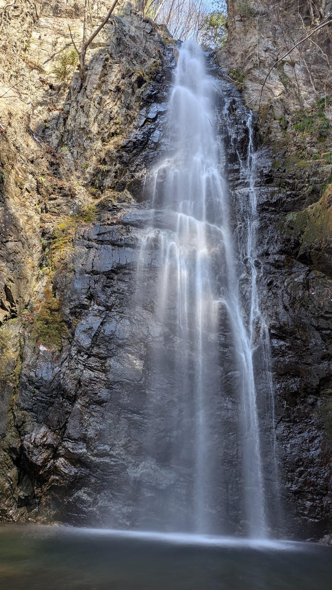 川苔山 / Shiroさんの川苔山（川乗山）の活動データ | YAMAP / ヤマップ