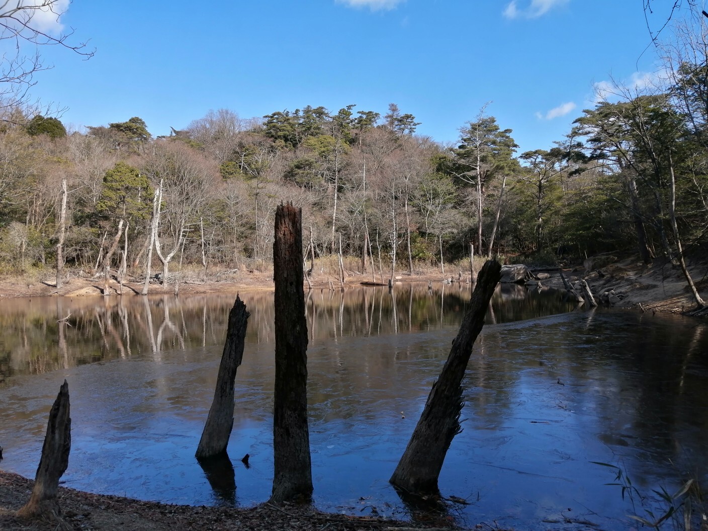 ソロ23 金鳥山・七兵衛山・打越山 / J.BOYさんの六甲山・長峰山・摩耶山の活動データ | YAMAP / ヤマップ