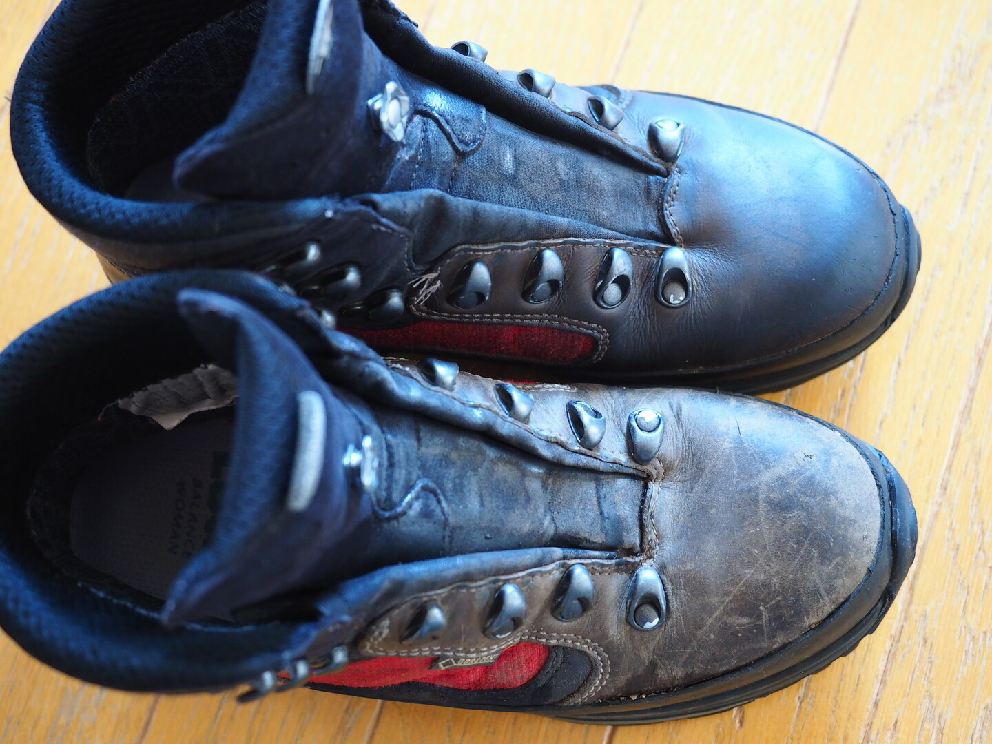 モーメント初投稿(*^^)v サボってい... / pon(夫) ＆ 連れ(妻)さんのモーメント | YAMAP / ヤマップ