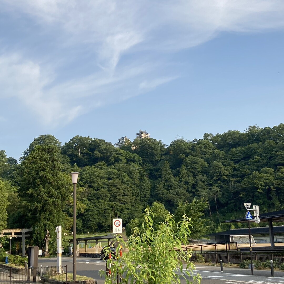 越前大野城ウォーキング-2021-06-25 / BMXさんのウォーキングの活動データ | YAMAP / ヤマップ