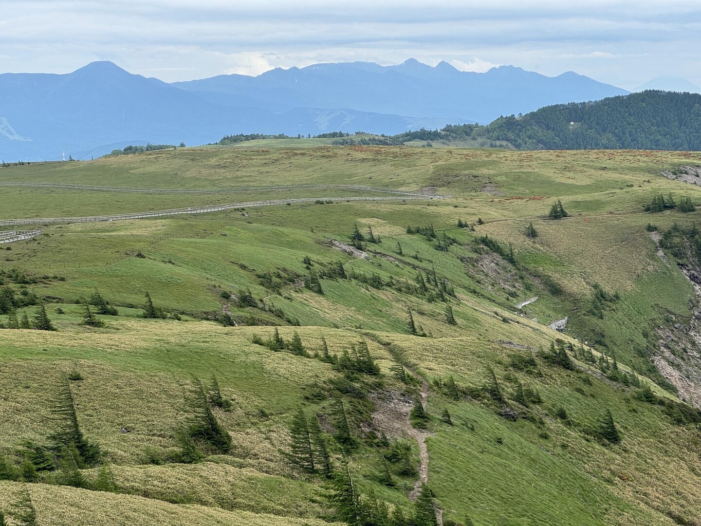王ヶ鼻・美ヶ原（王ヶ頭） / yu!ch!さんの美ヶ原の活動データ | YAMAP / ヤマップ