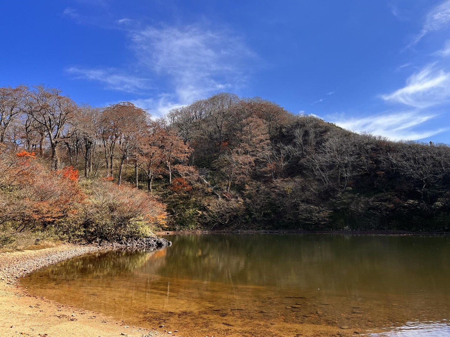 夜叉ヶ池山・三周ヶ岳-2023-11-05 / SZさんの夜叉ヶ池山・三周ヶ岳の活動データ | YAMAP / ヤマップ