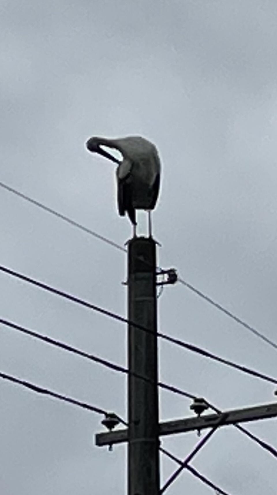 秋晴れの今日、孫のマラソン大会🏃‍♀️... / kei.keiさんのモーメント | YAMAP / ヤマップ