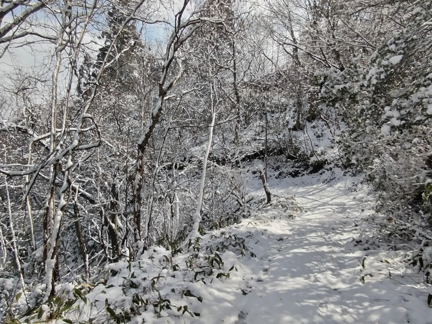 猿喰山 / mipotさんの可部冠山・堂床山・大掛山の活動データ | YAMAP / ヤマップ