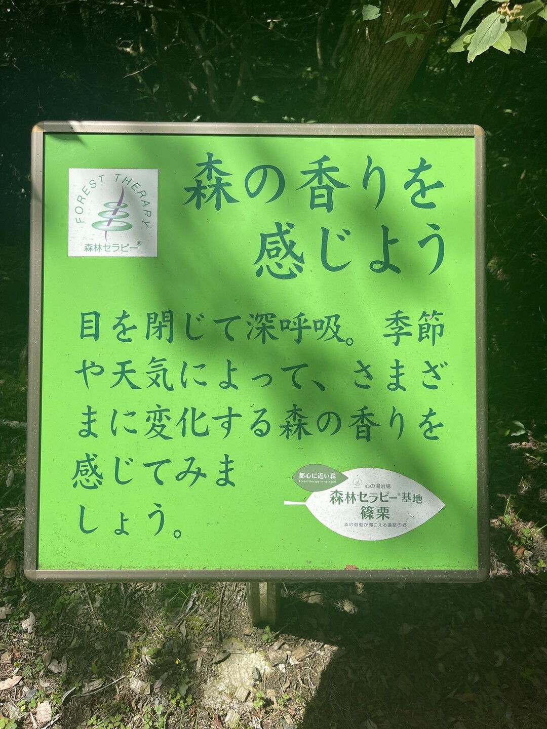 【大転倒】米ノ山 / みっくさんの宝満山・三郡山・若杉山の活動データ | YAMAP / ヤマップ