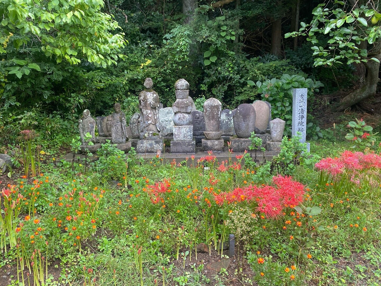 クモの巣注意⚠️都留アルプス / Myaccoroさんの御正体山・杓子山・石割山の活動データ | YAMAP / ヤマップ