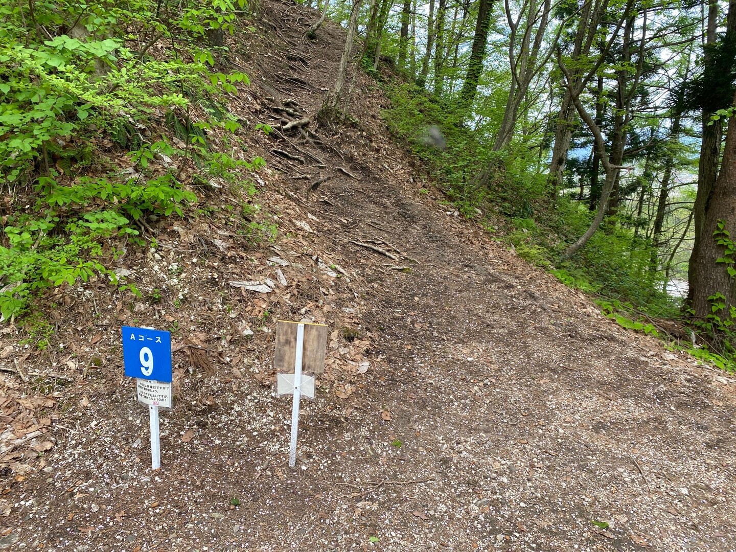 Oさんの投稿したフィールドメモ | YAMAP / ヤマップ