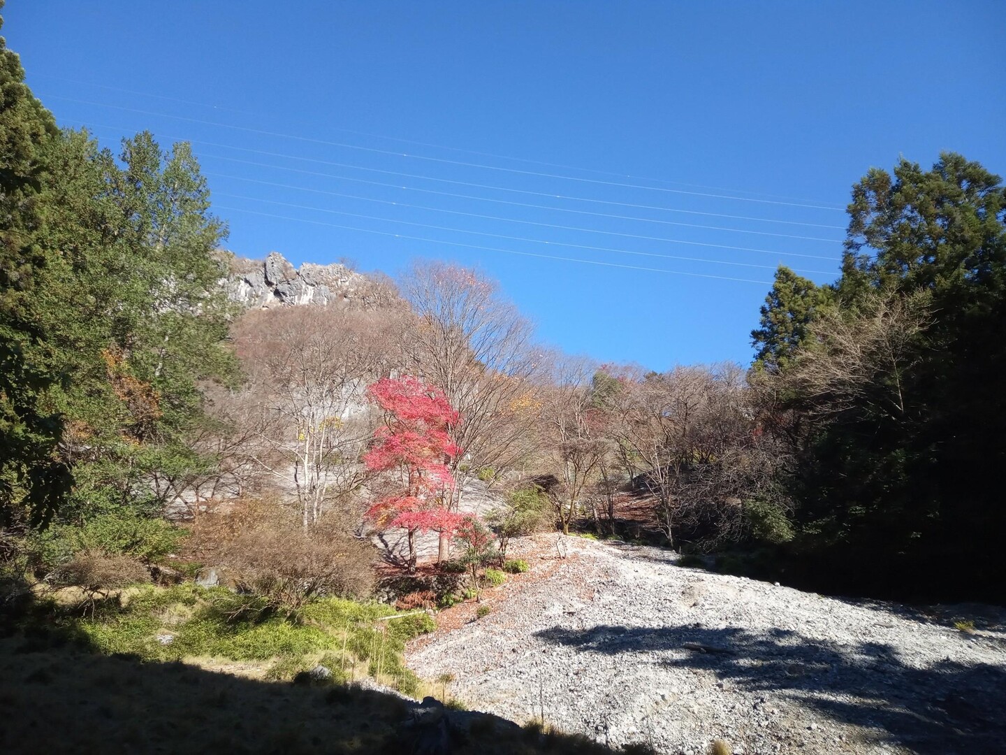 名郷〜鳥首峠〜有間山〜川乗橋縦走20221125 / URJさんの雲取山・鷹ノ巣山・七ツ石山の活動データ | YAMAP / ヤマップ