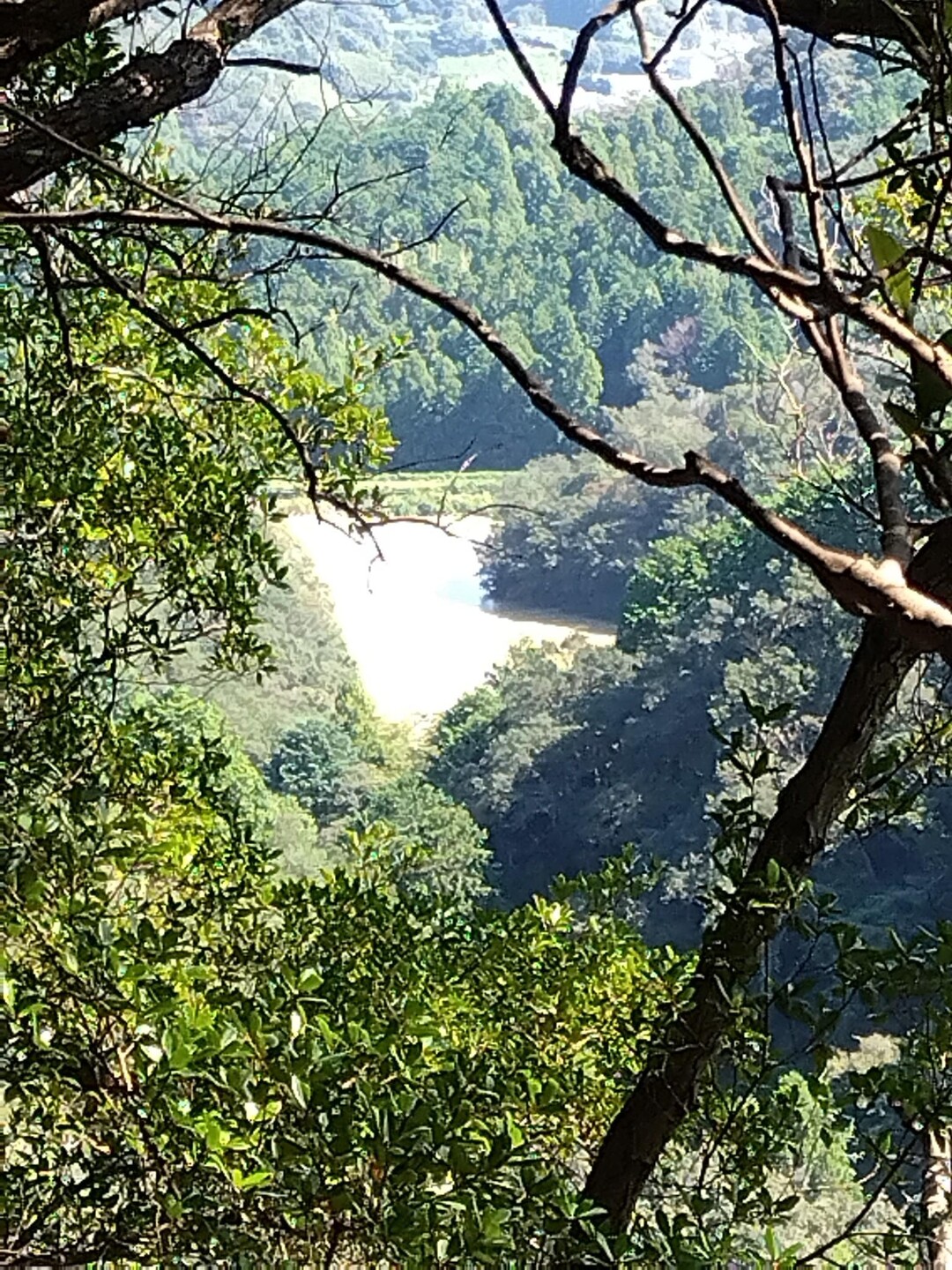 k54さんの投稿したフィールドメモ | YAMAP / ヤマップ