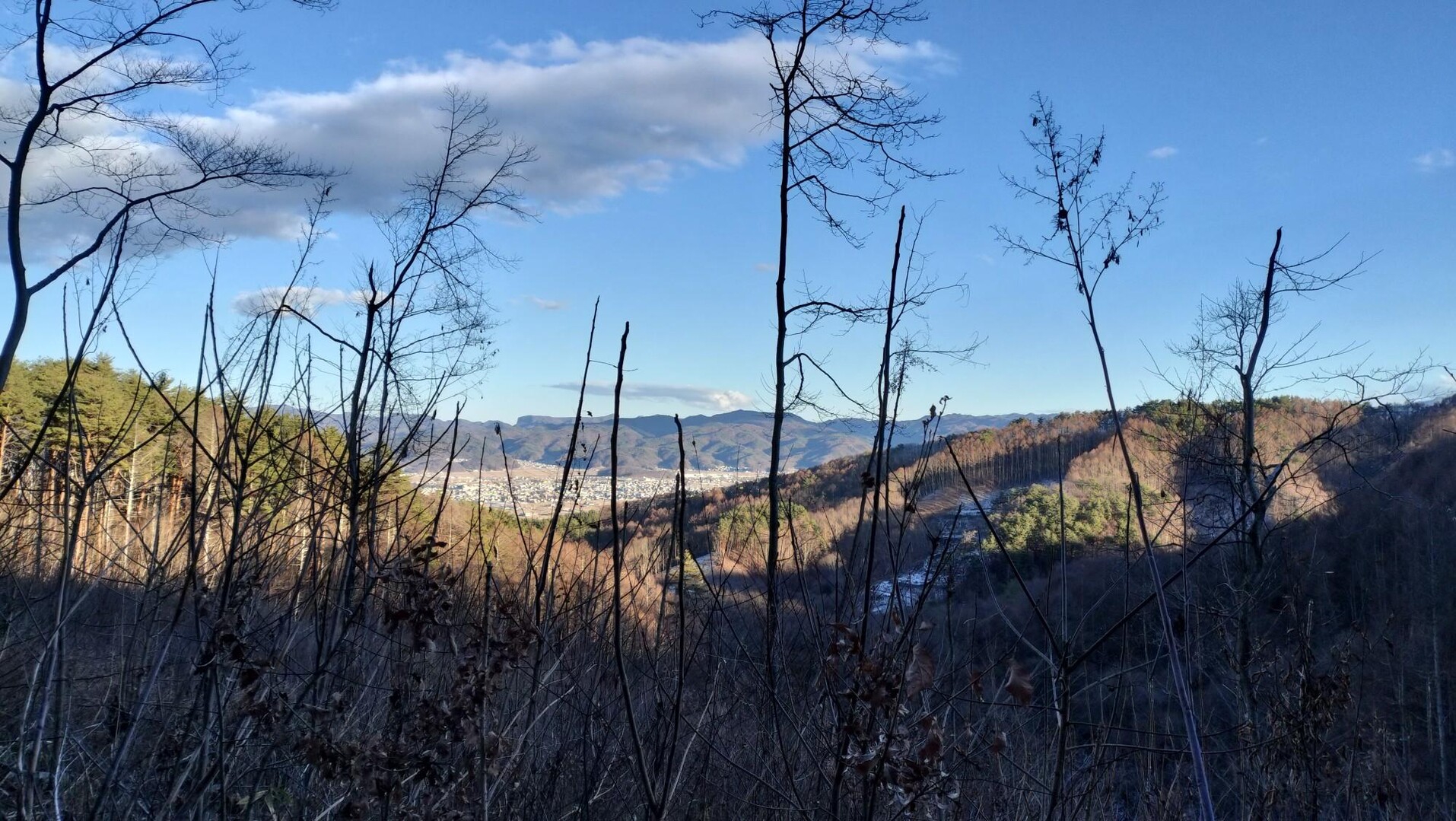 虚空蔵山(長野県佐久市) / maさんの虚空蔵山の活動データ | YAMAP / ヤマップ