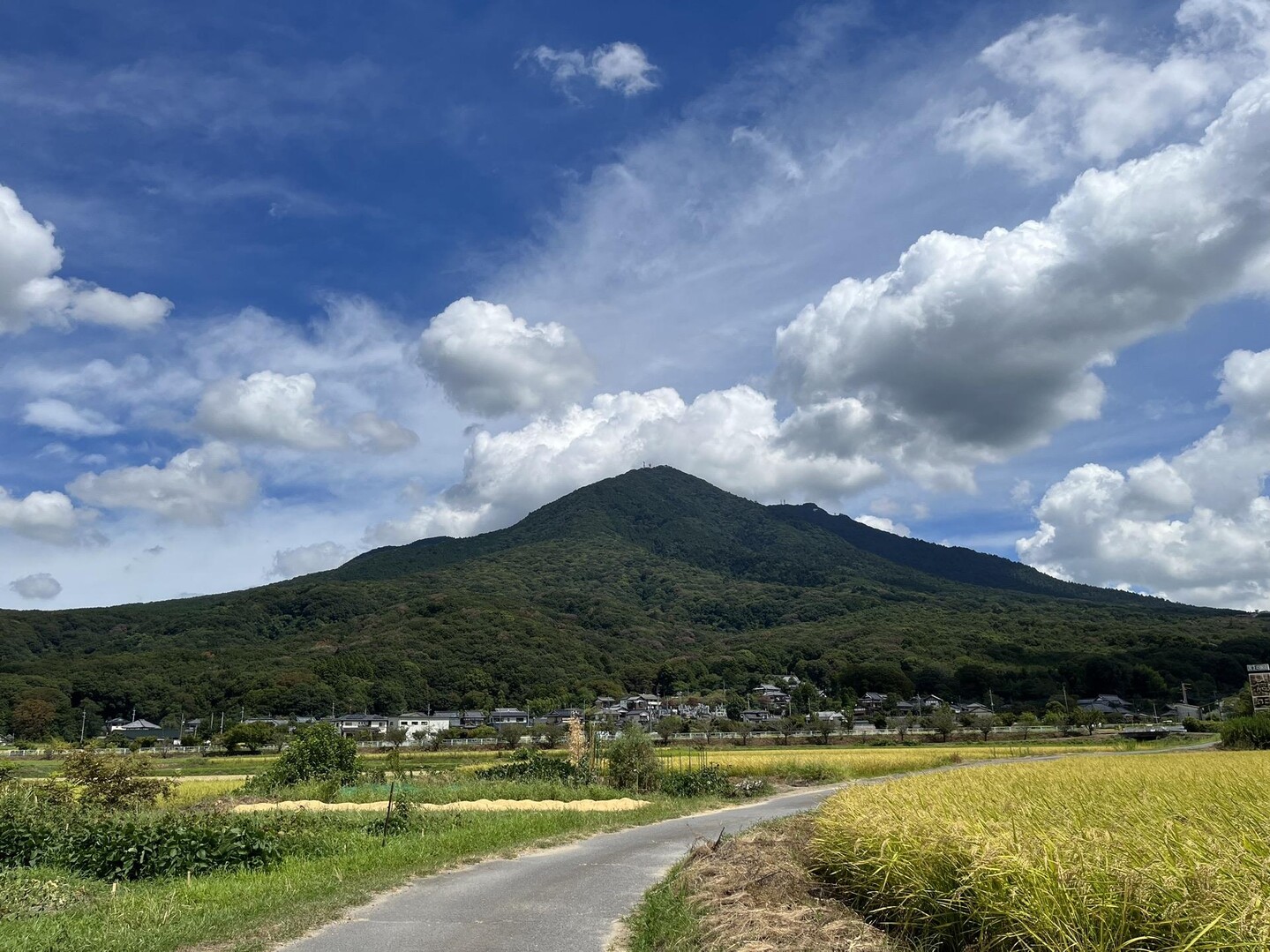 夏？の筑波山登ってみました / yutayutaさんの筑波山の活動データ | YAMAP / ヤマップ