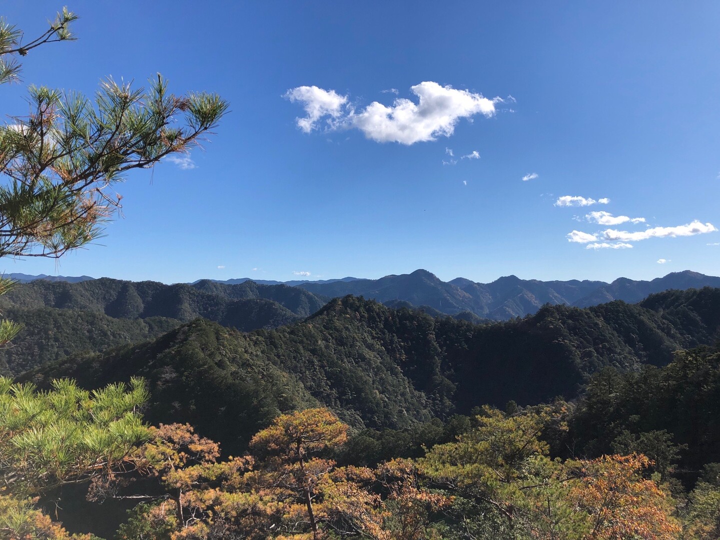 お試し OSJ新城11Kコース / しみしみさんの宇連山・鳳来寺山・岩古谷山の活動日記 | YAMAP / ヤマップ