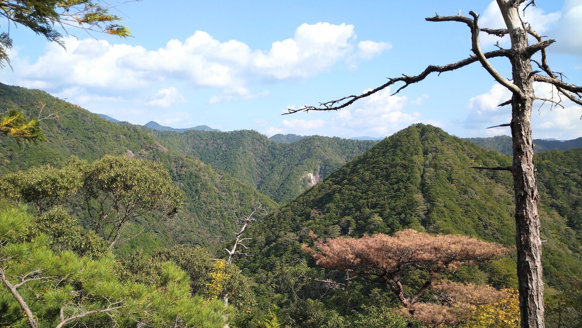 宇連山 / TOMさんの宇連山・鳳来寺山・岩古谷山の活動データ | YAMAP / ヤマップ