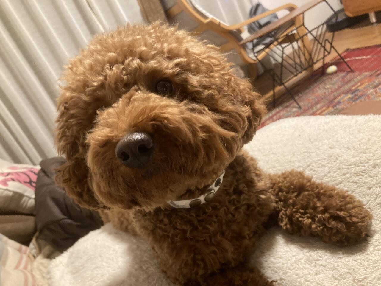 ぽんずPAPAのページ | YAMAP / ヤマップ