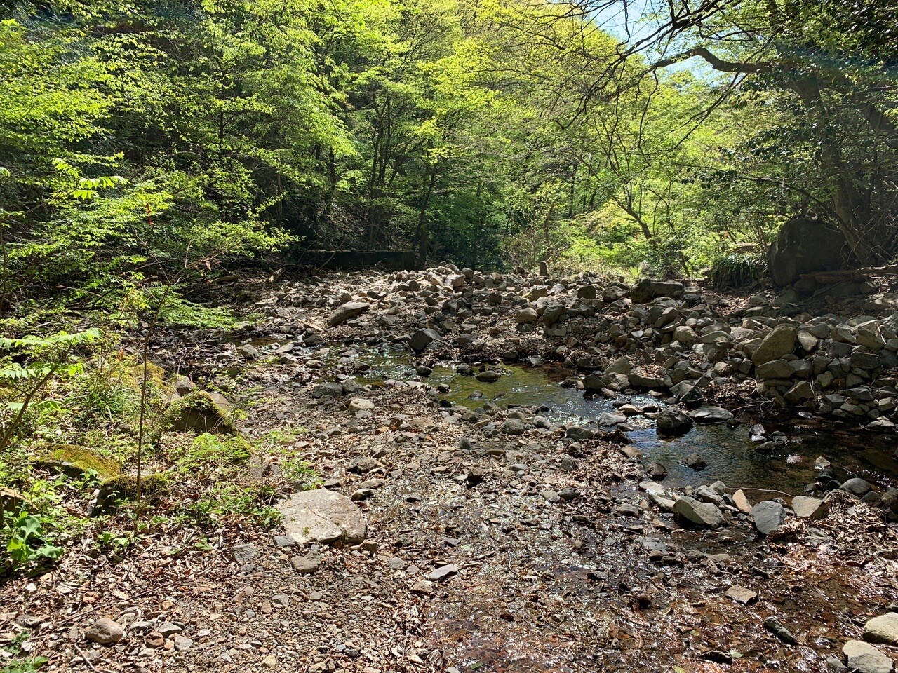 Rcoさんの投稿したフィールドメモ | YAMAP / ヤマップ