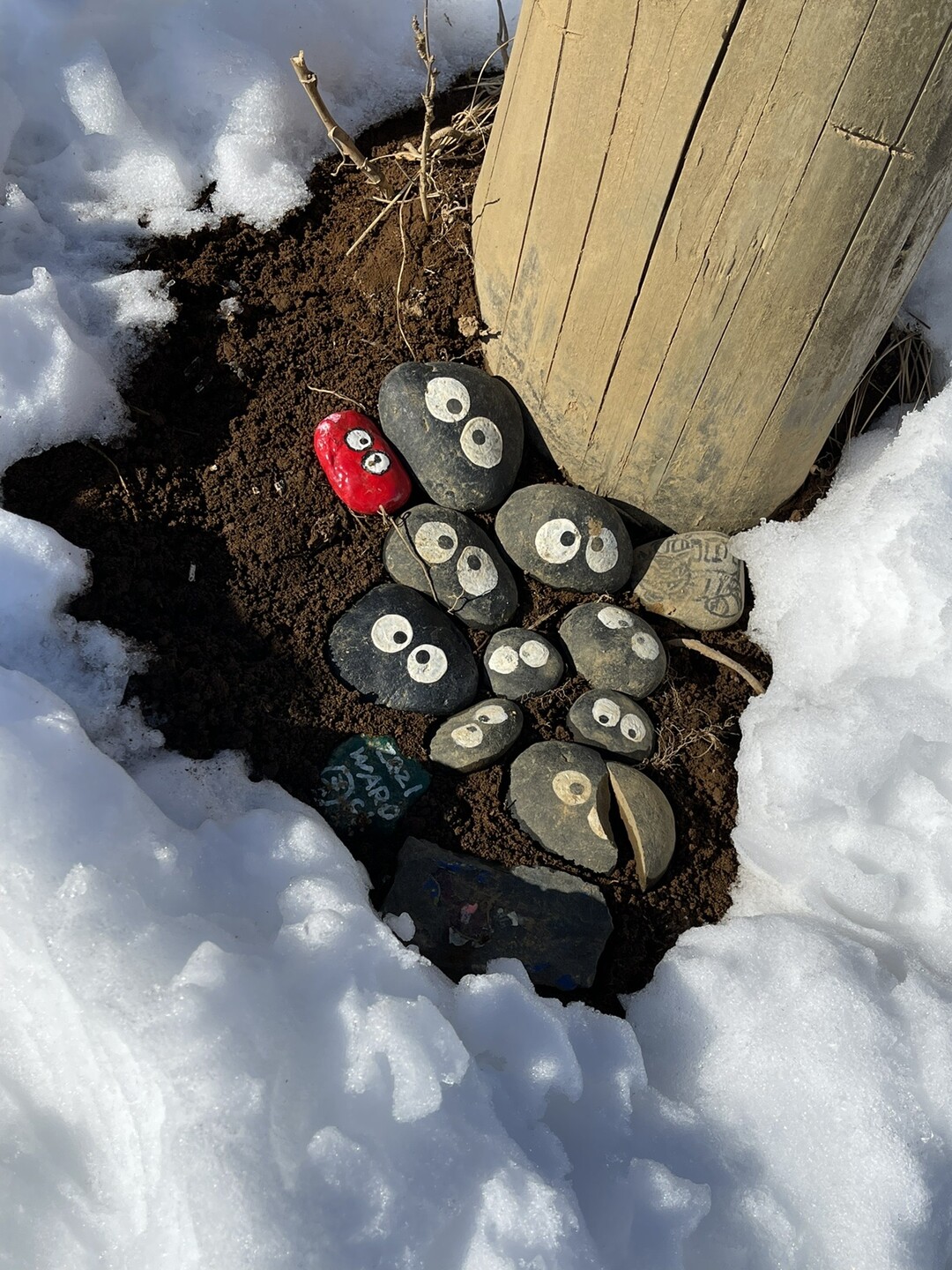 2022.02.12(土) 05:22 / YUHYAさんのモーメント | YAMAP / ヤマップ