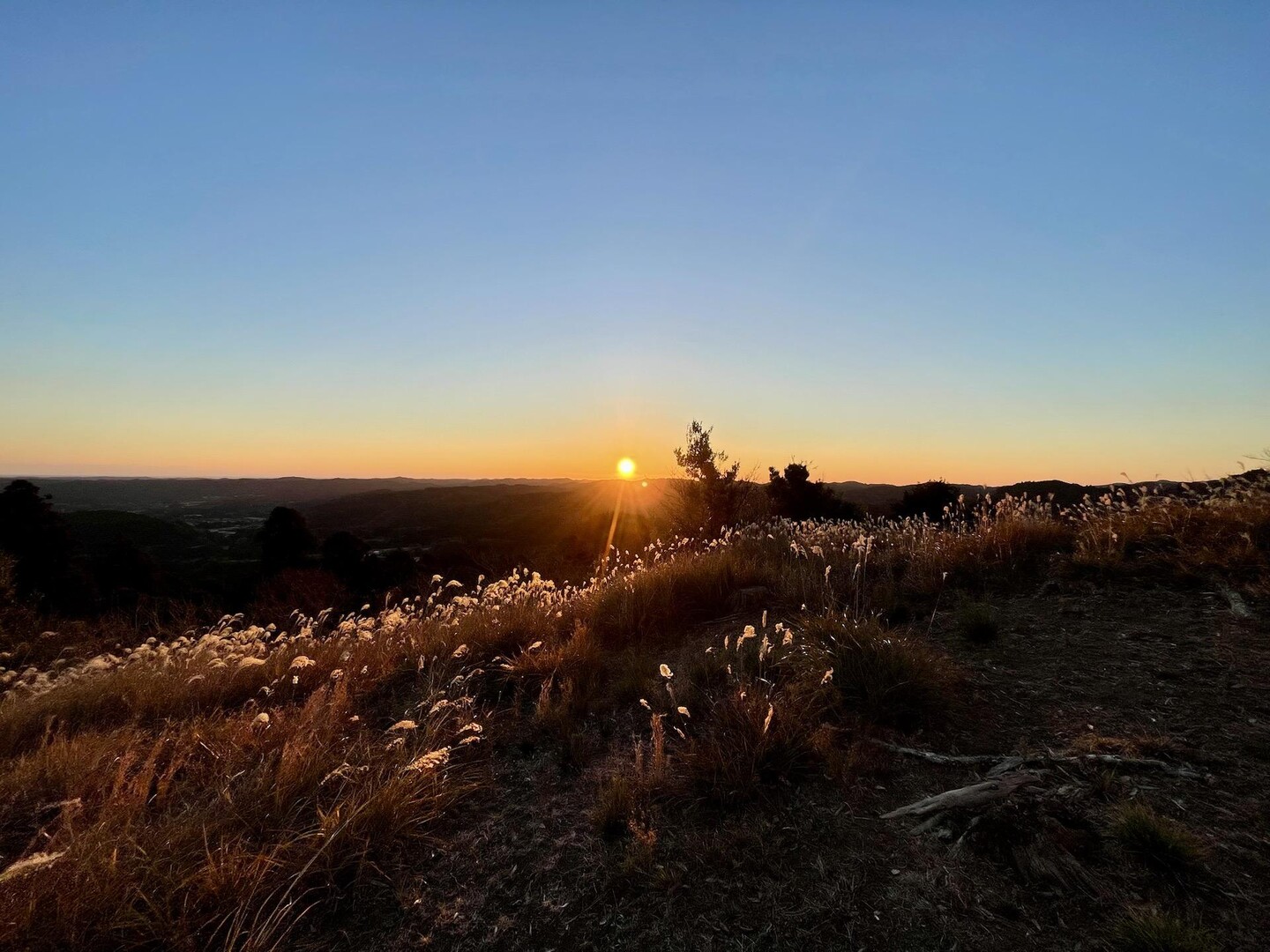 大塚山 初日の出！ / M1984さんの大塚山の活動データ | YAMAP / ヤマップ