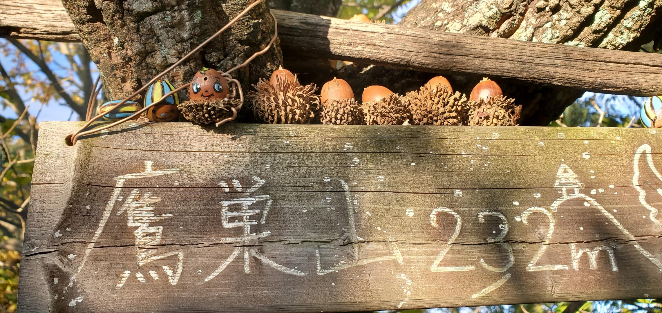 金華山GT / くってさんの金華山・洞山・舟伏山の活動データ | YAMAP / ヤマップ