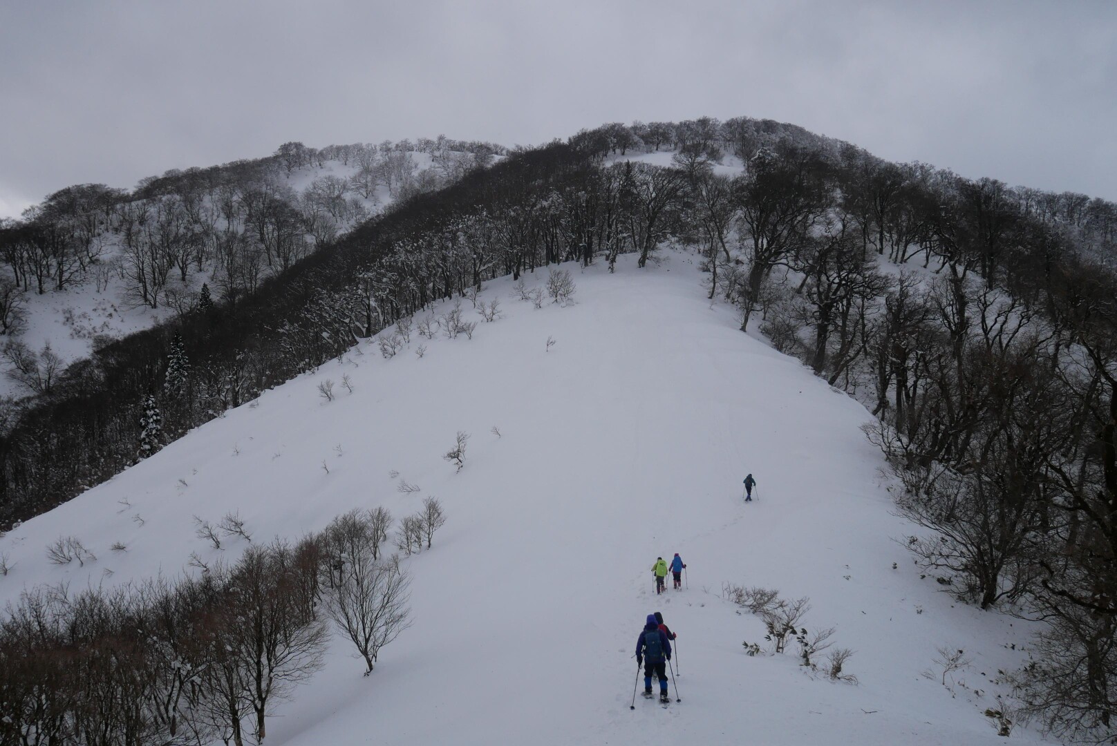 ハートの半分 毛無山・西毛無山周回 / masa599さんの毛無山の活動データ | YAMAP / ヤマップ