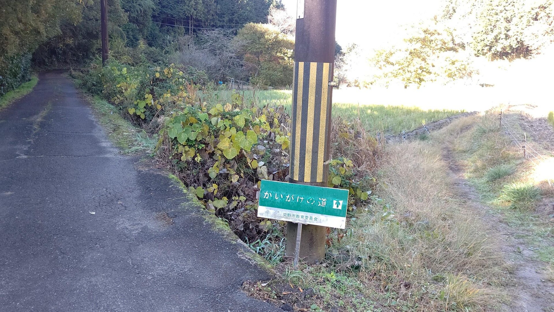 交野山・国見山 / たまにゃんさんの交野山・国見山の活動データ | YAMAP / ヤマップ