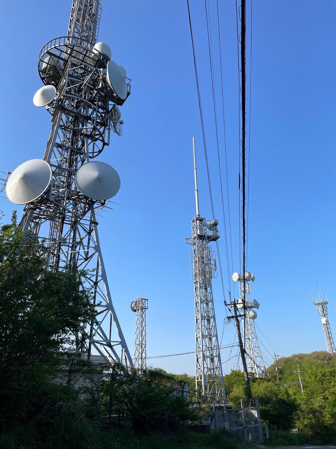 九千部山〜脊振山 縦走 / 130Kさんの脊振山・金山の活動データ | YAMAP / ヤマップ