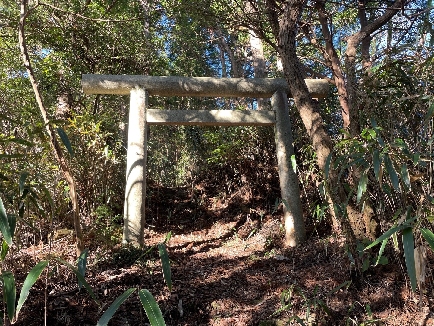 von Sigさんの投稿したフィールドメモ | YAMAP / ヤマップ