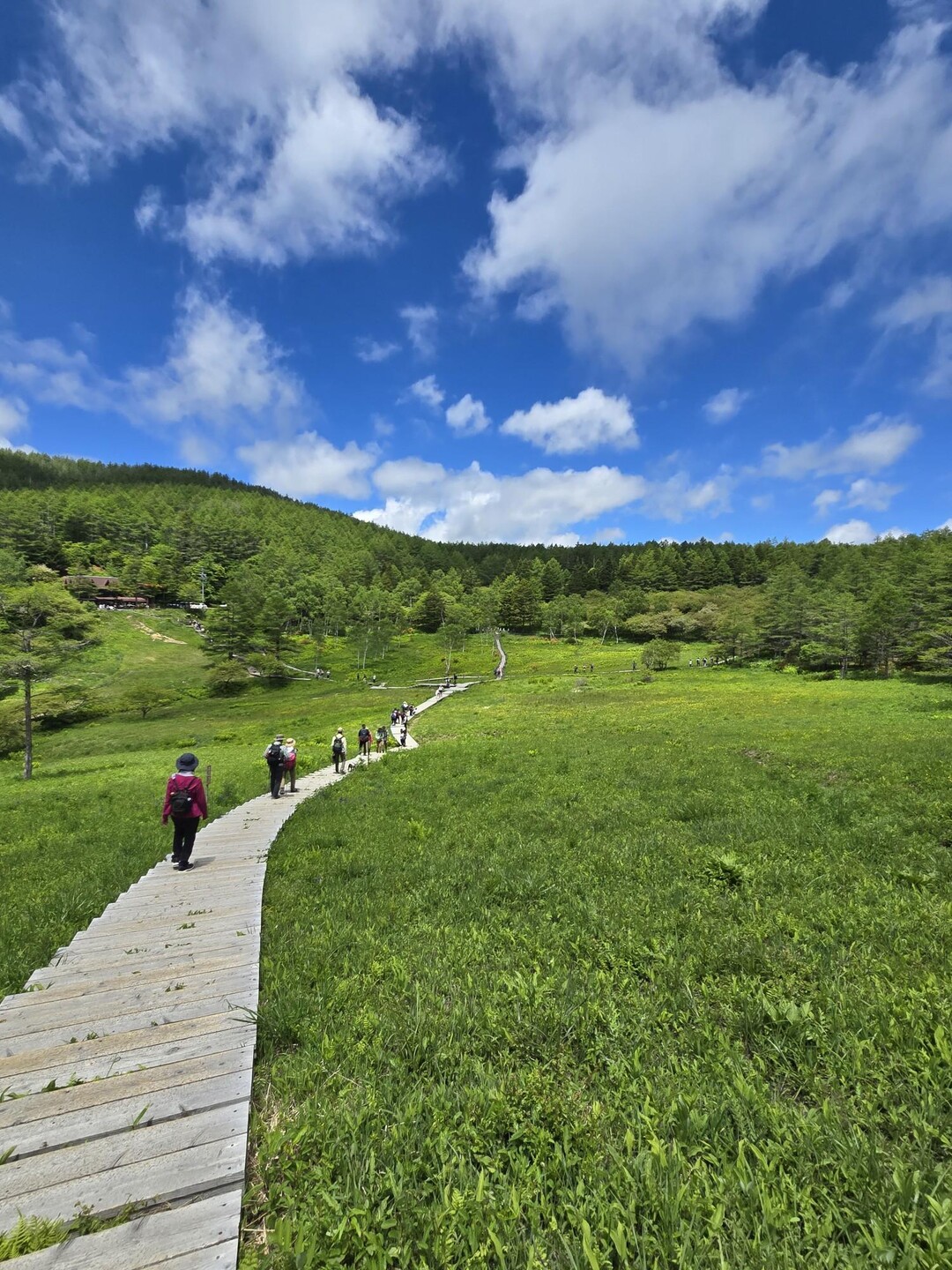 入笠山・アカノラ山 / MIKA🌼さんの入笠山の活動データ | YAMAP / ヤマップ