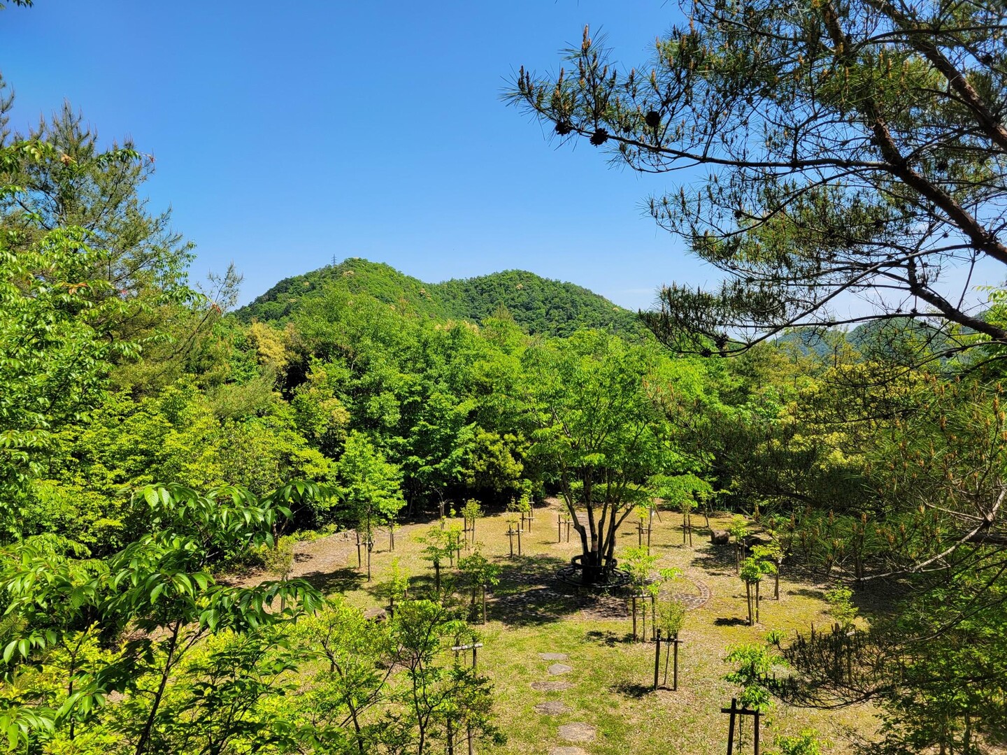 新緑が美しい🍀古津山 / meguさんの百々ヶ峰・源太峰の活動日記 | YAMAP / ヤマップ