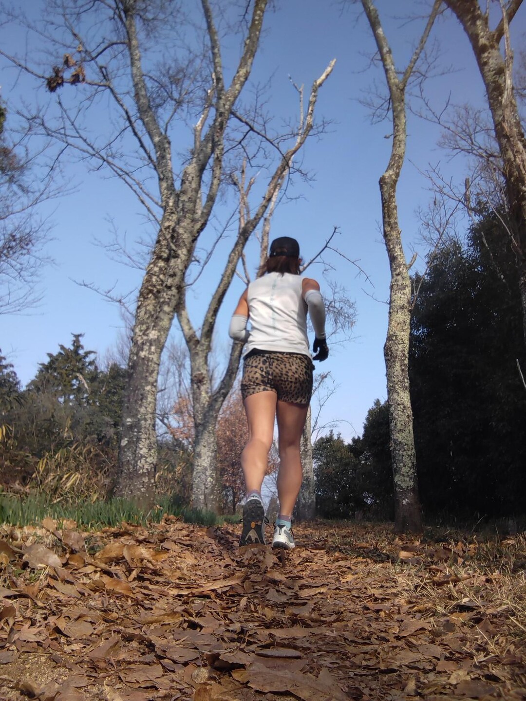 2023年 走り納め 2いいもり / meguさんの生駒山・神津嶽・大原山の活動データ | YAMAP / ヤマップ