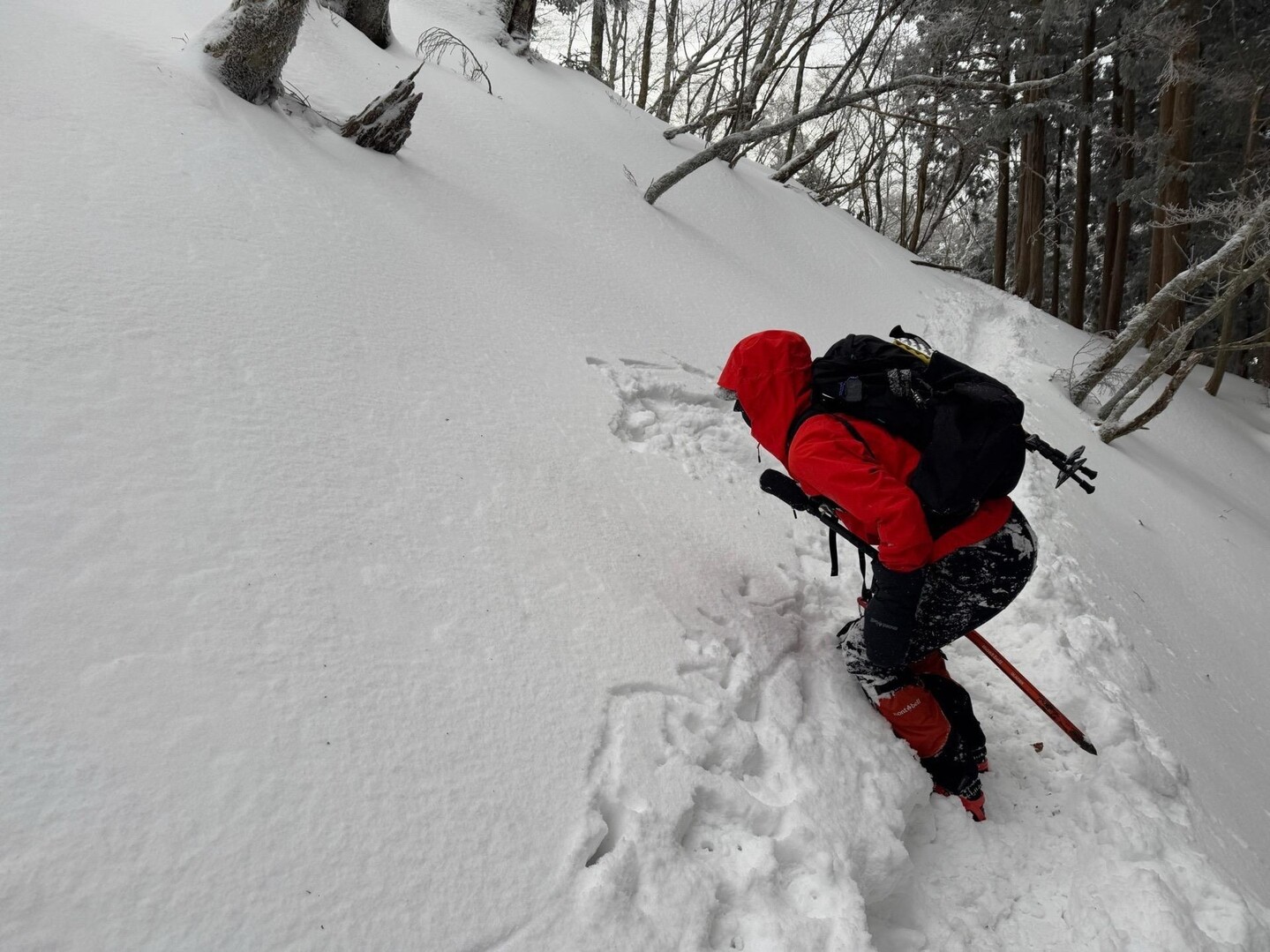 良きです。 / はなやんさんのモーメント | YAMAP / ヤマップ