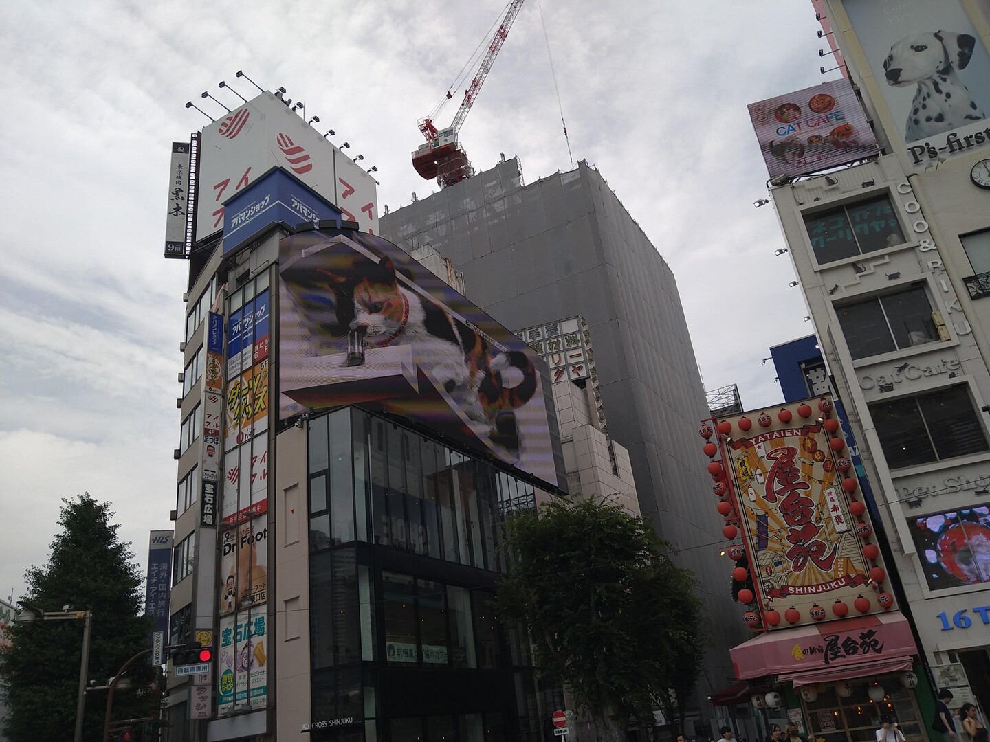 箱根山 / koniさんの東京都23区 西エリアの活動日記 | YAMAP / ヤマップ