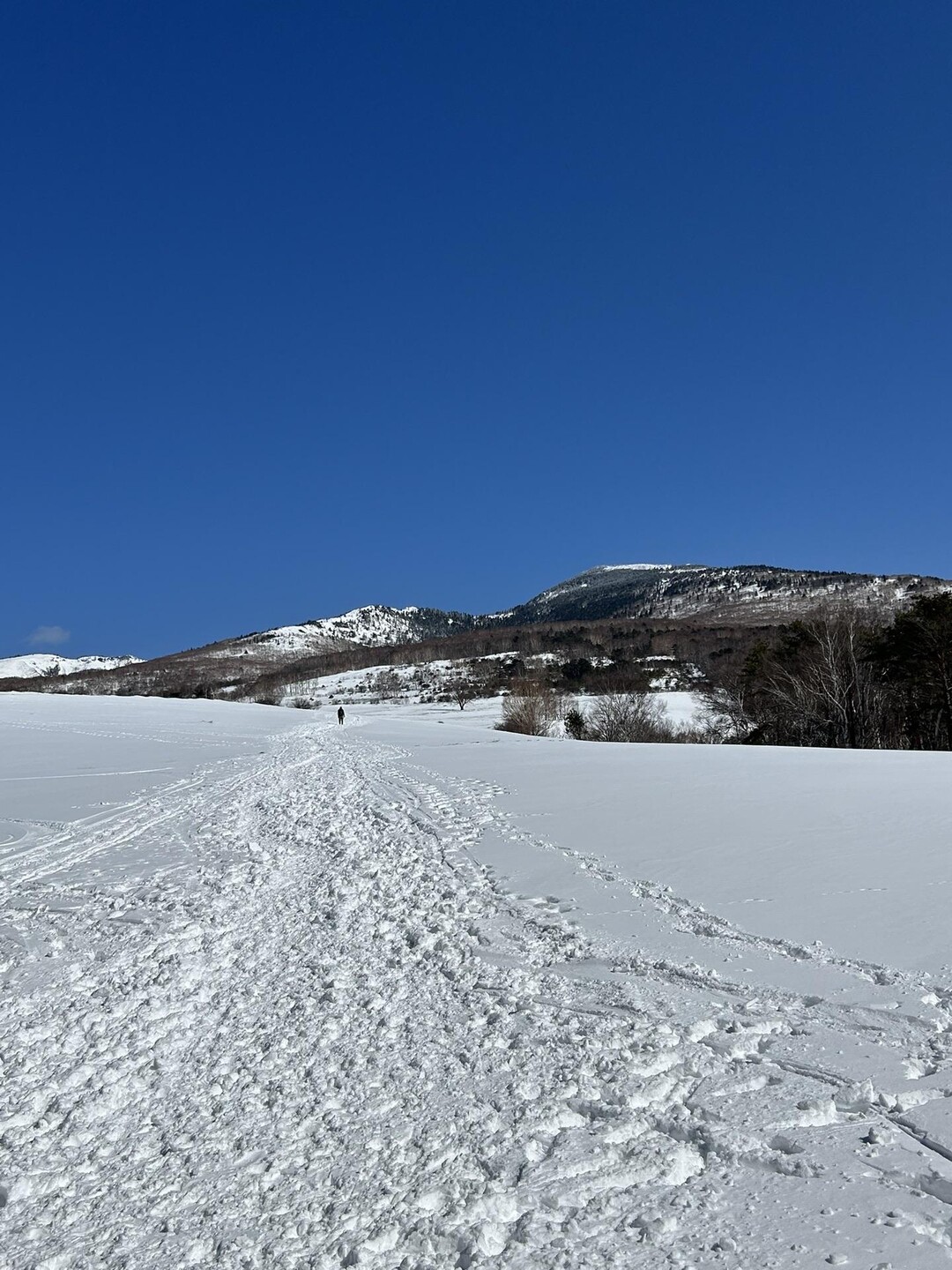 桃の節句に雪山四阿山 / ANEさんの四阿山・根子岳の活動データ | YAMAP / ヤマップ