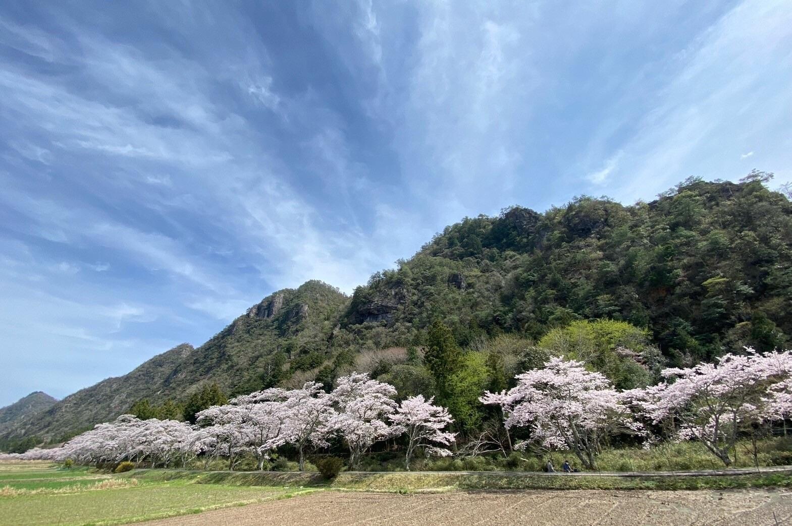 初めてのマルチピッチ🔰 先生から色々教... / mustさんのモーメント | YAMAP / ヤマップ