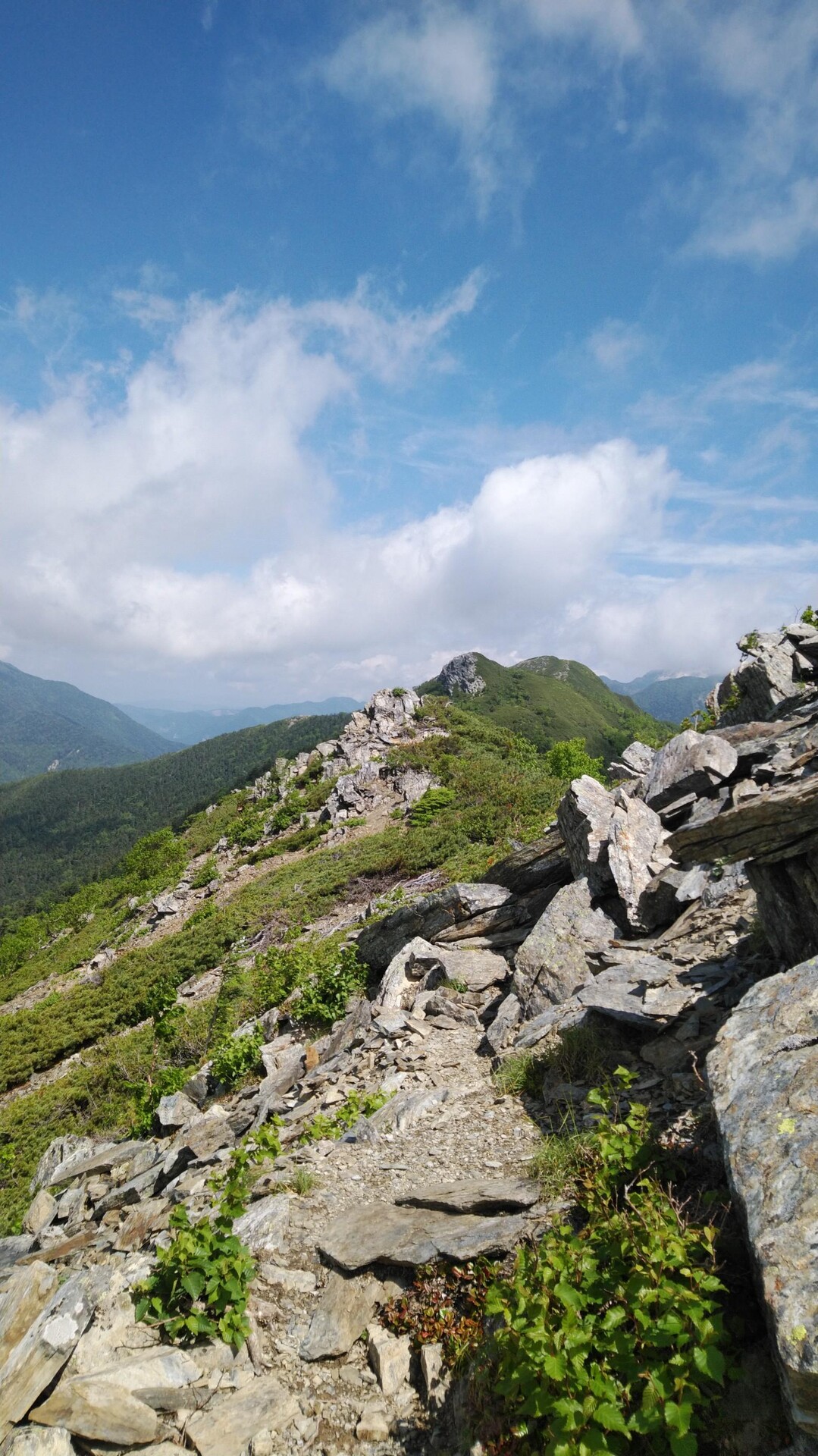 【山梨県 山百】前小太郎山・小太郎山 / mappy⛰️🏃💨さんの北岳・間ノ岳・農鳥岳の活動日記 | YAMAP / ヤマップ