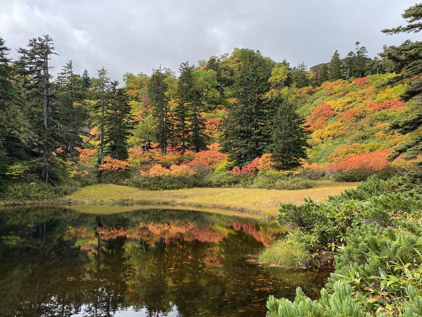 高原温泉から沼巡りコース。熊の出没で途中... / naoさんのモーメント | YAMAP / ヤマップ