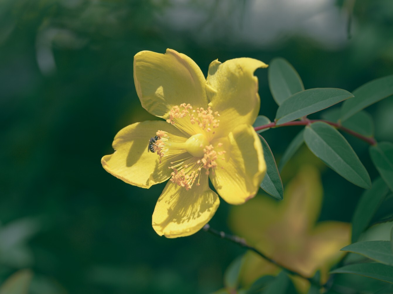 君をのせて / vlog_tottiyさんのモーメント | YAMAP / ヤマップ