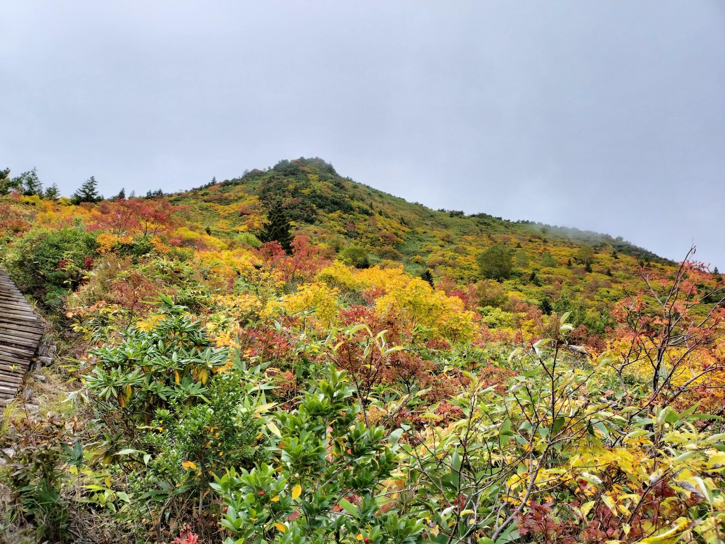 吾妻浄土平から鏡沼 / naga tomさんの登山の活動データ | YAMAP / ヤマップ