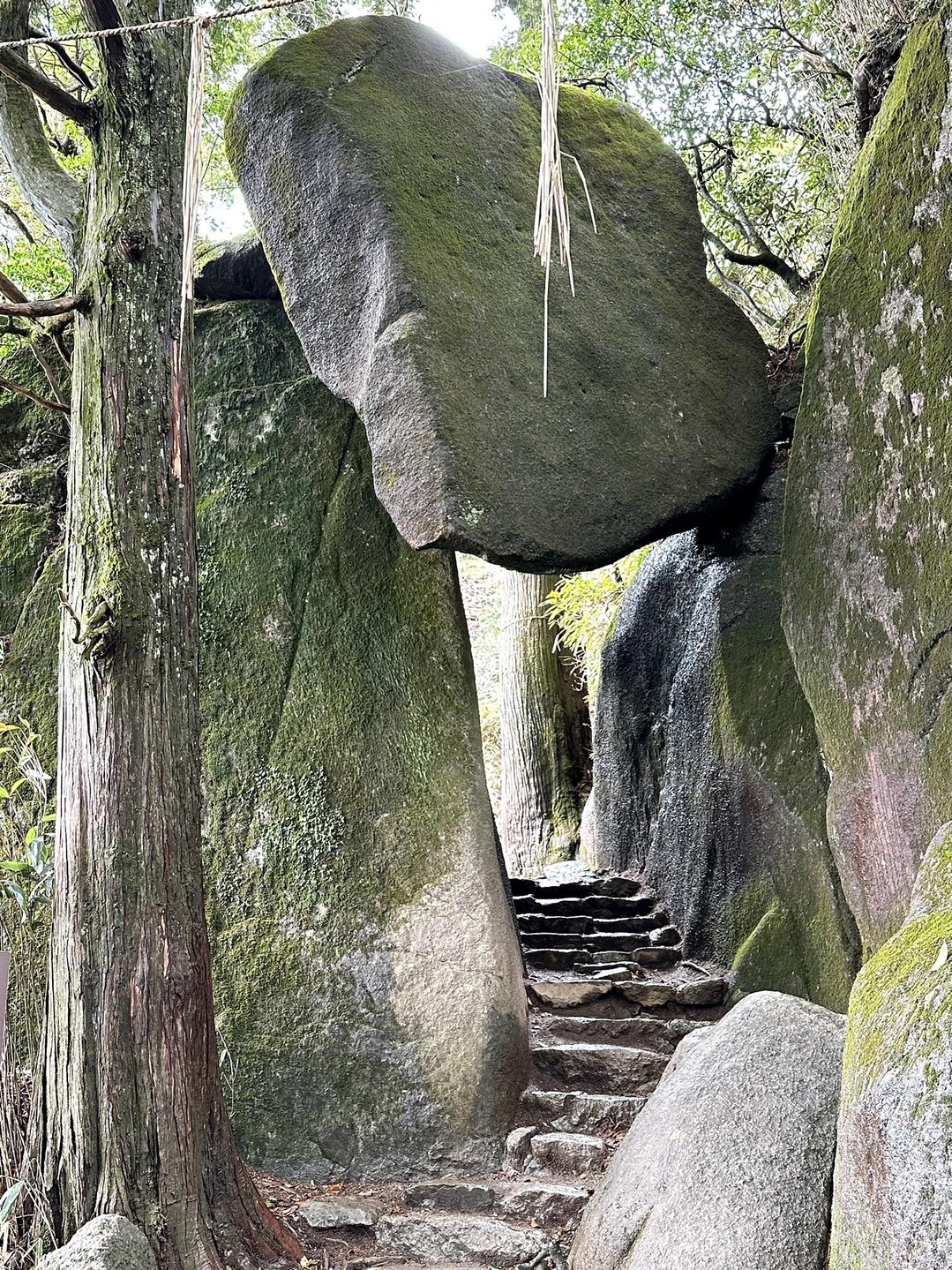 雨の筑波山（男体山）・筑波山（女体山） / Beniさんの筑波山の活動データ | YAMAP / ヤマップ